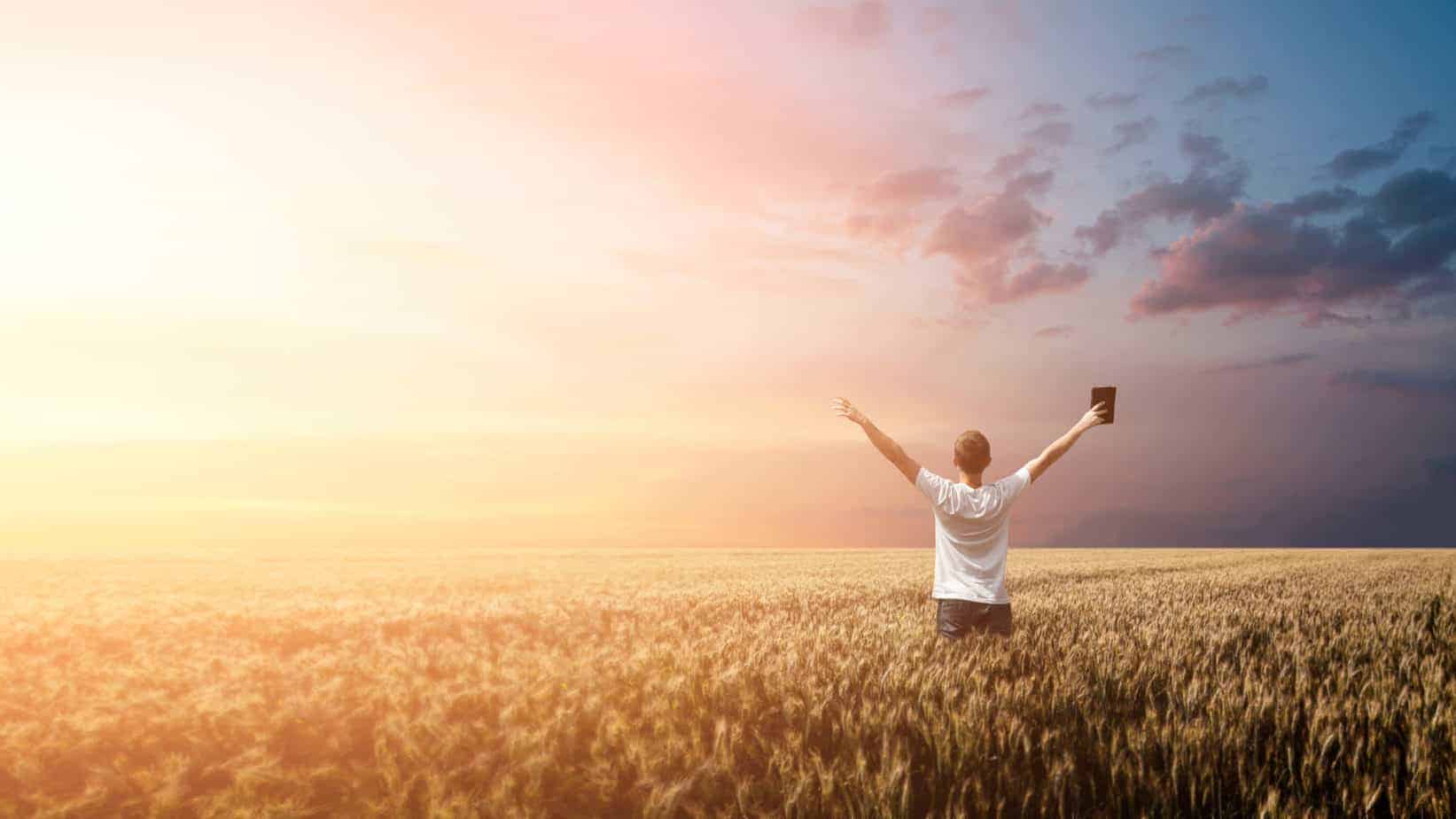 Man holding up Bible in a wheat field during sunrise. panoramic shot ...