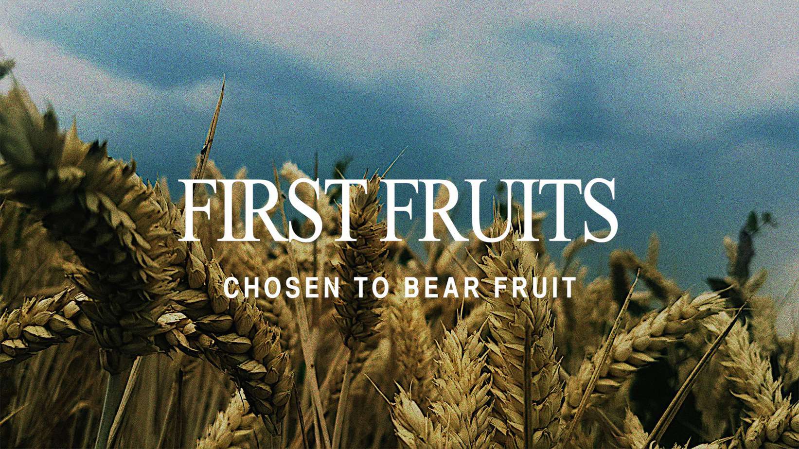 First Fruits - Chosen to Bear Fruit. - Treasured Inheritance Ministry